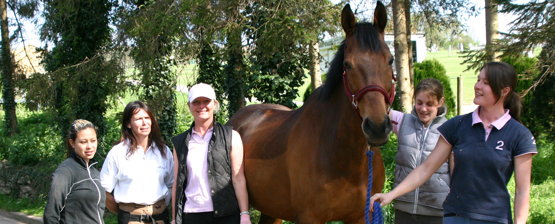 Livery - Great Bookham Equestrian Center