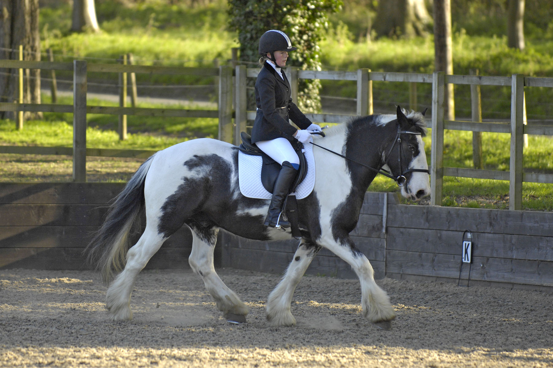 Livery – Great Bookham Equestrian Center