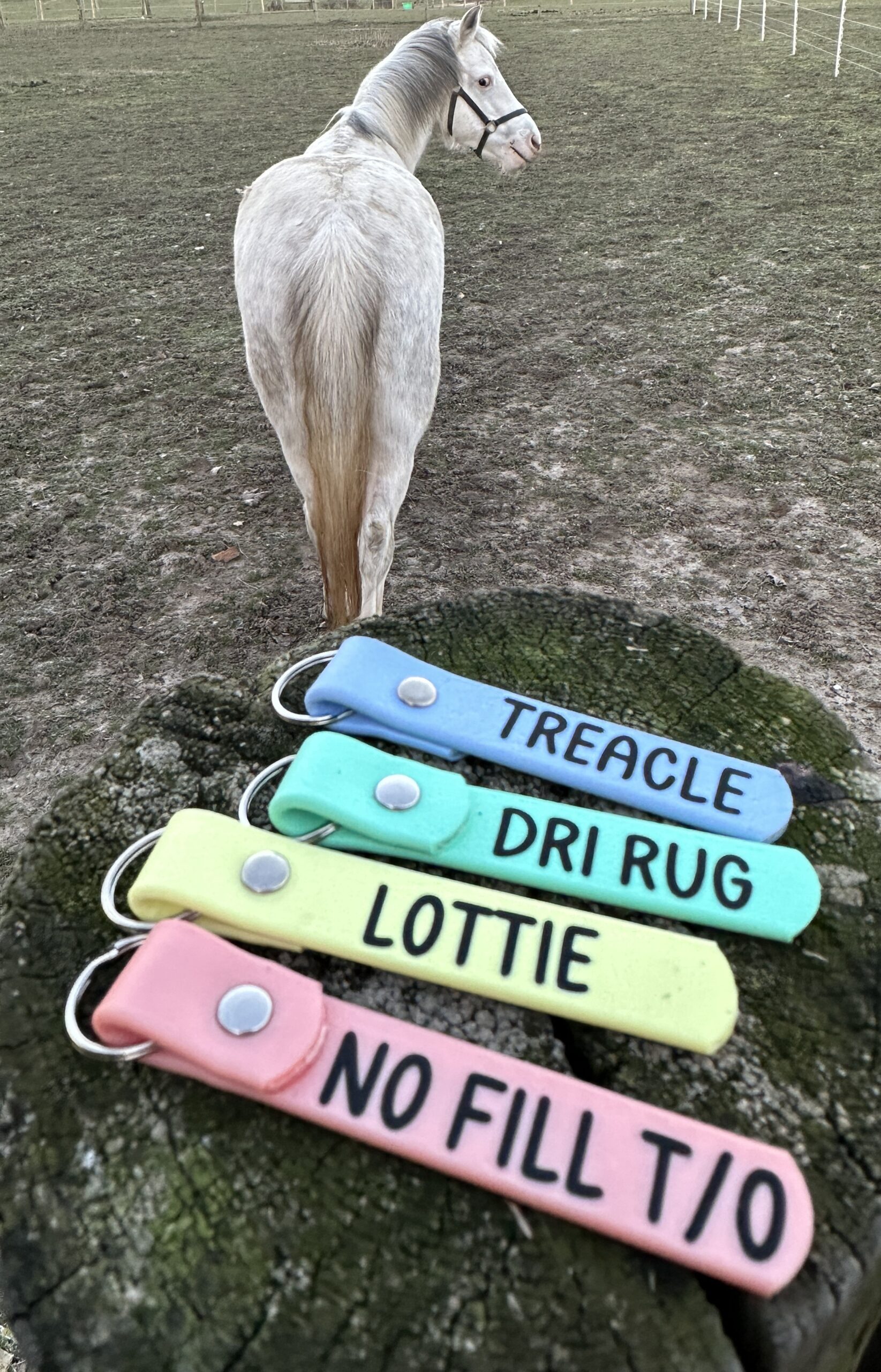 Stable Labels - Printing - Great Bookham Equestrian Center